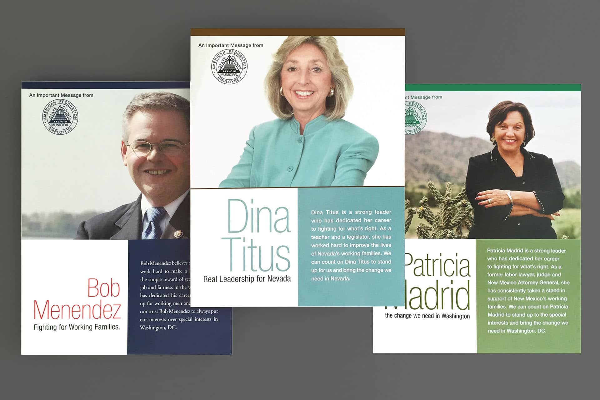 Political Direct Mail Samples - Orange Creative